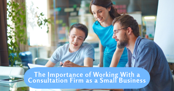 The Importance of Working With a Consultation Firm as a Small Business ...